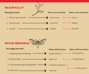 6 Ilmu Penting Berkenaan Racun Kulat & Racun Serangga | Bukit Tapah ...